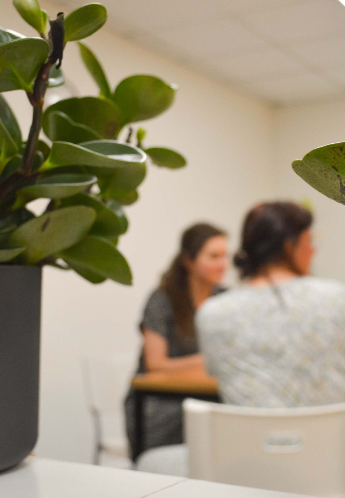 Folkert en Bauwina: Talentenplein - Terwille